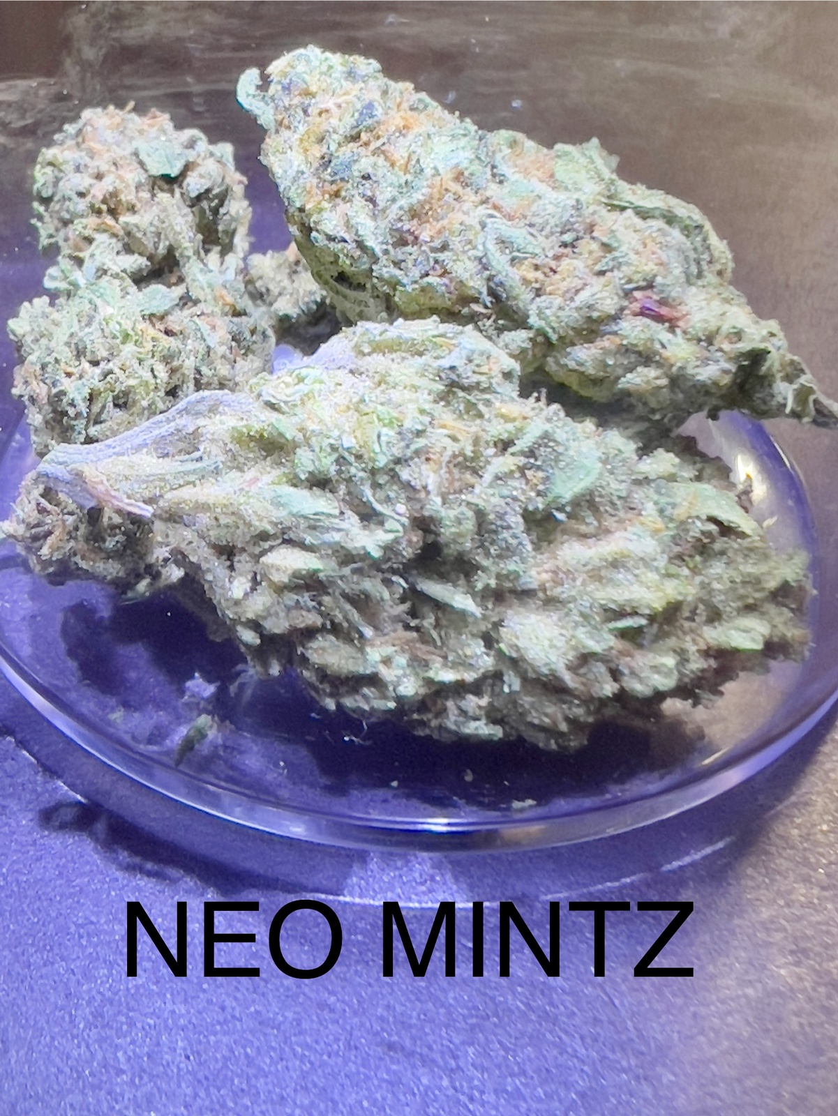 Neapolitan Mintz Marijuana Strain Information & Reviews | AllBud