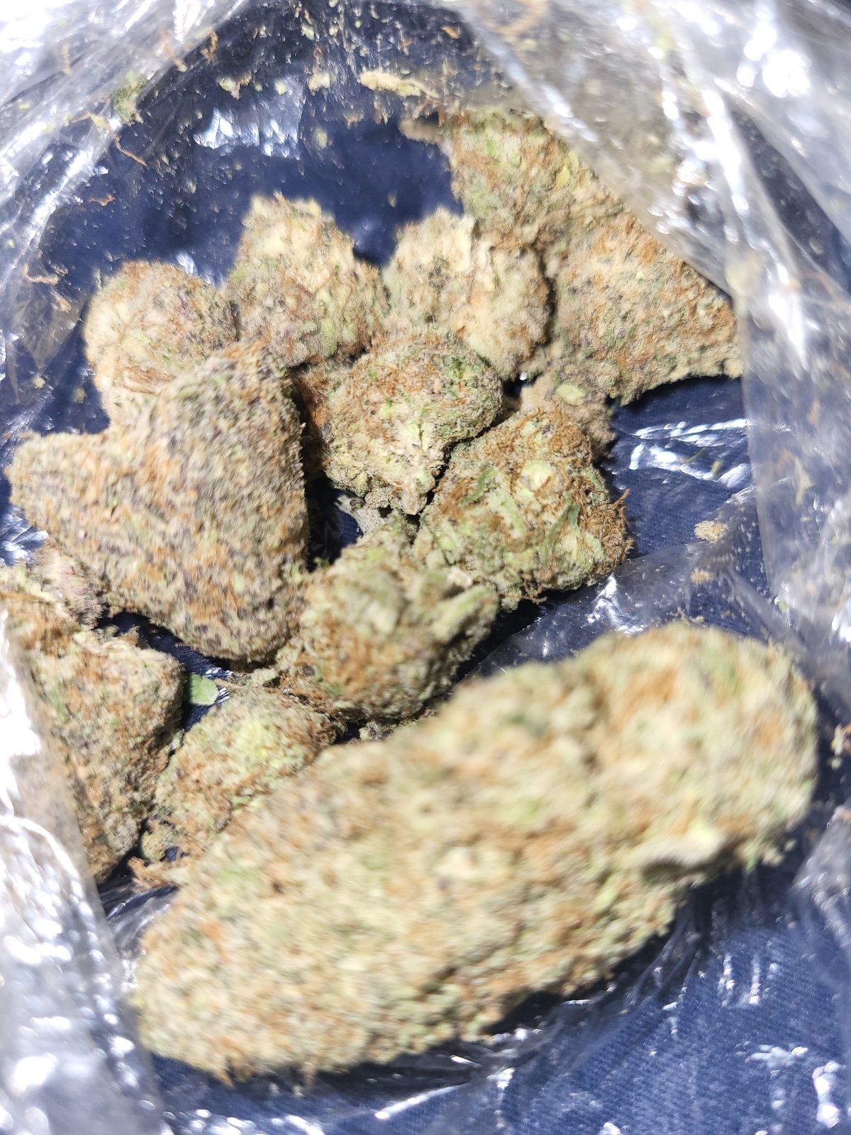 Nerds Marijuana Strain Information Reviews AllBud Nerds Marijuana Strain Information Reviews AllBud
