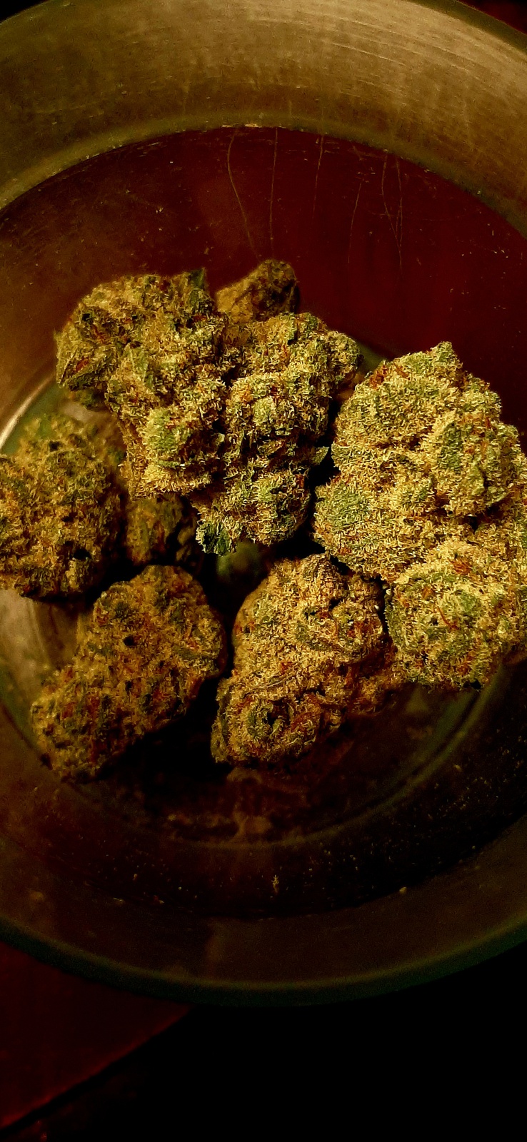 Nightmare Runtz Marijuana Strain Information & Reviews | AllBud