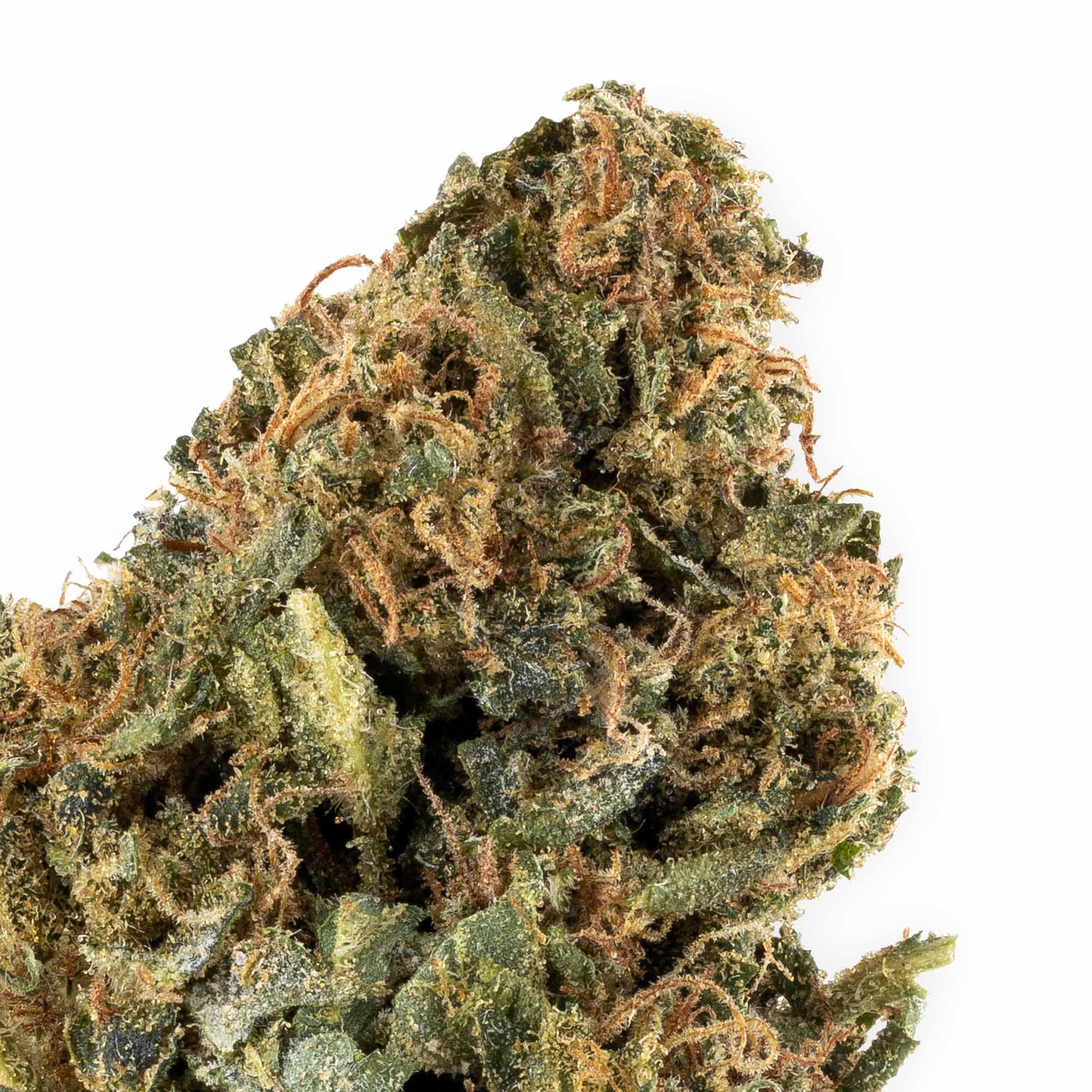 Nordic Jack Marijuana Strain Information & Reviews | AllBud