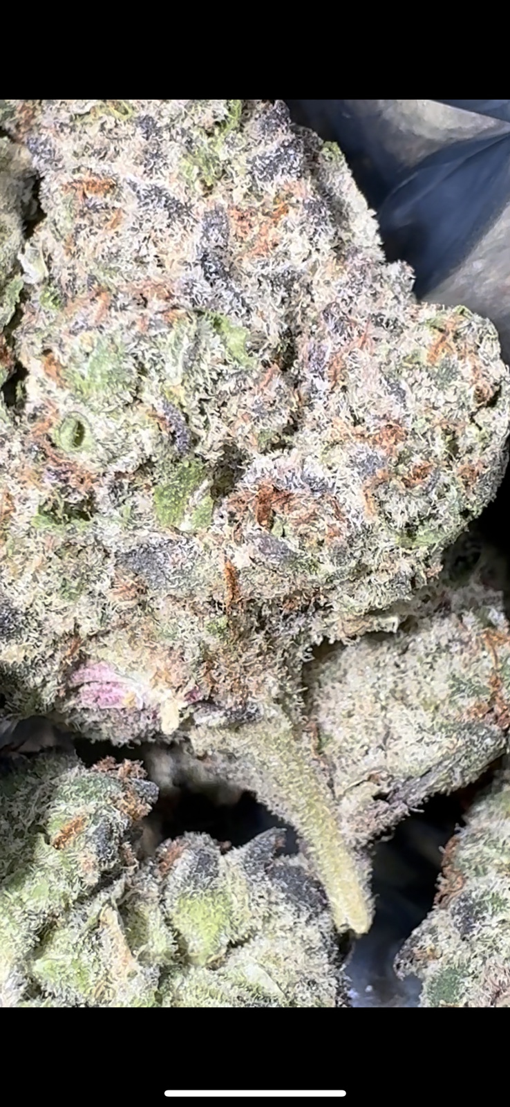 OG Princess Marijuana Strain Information & Reviews | AllBud