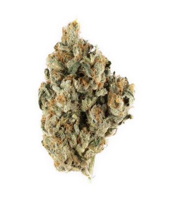 Pebble Wreck Marijuana Strain Information & Reviews | AllBud