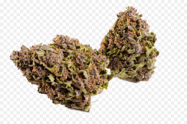 Pineapple Jager Marijuana Strain Information & Reviews | AllBud
