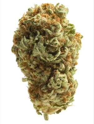 Pixie Punch Marijuana Strain Information & Reviews | AllBud