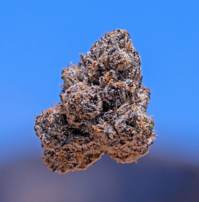 Platinum Queen Marijuana Strain Information & Reviews | AllBud