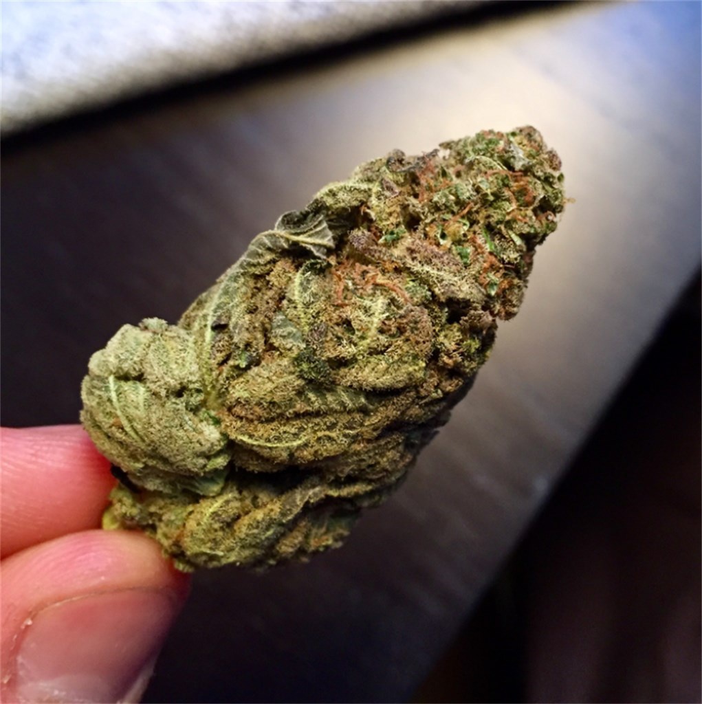 Power Wreck Marijuana Strain Information & Reviews | AllBud