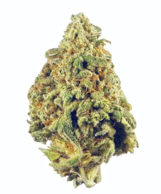 Problem Child Marijuana Strain Information & Reviews | AllBud