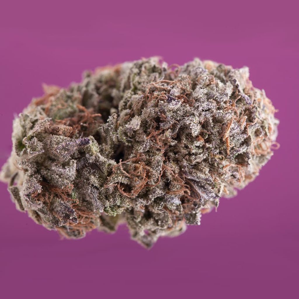 Purple Coconut Marijuana Strain Information & Reviews | AllBud