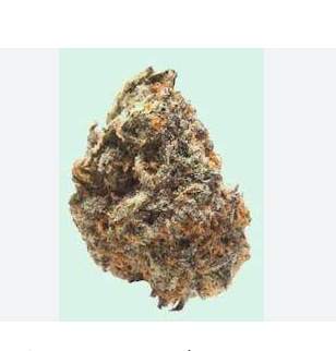 Purple Cookie Bomb Marijuana Strain Information & Reviews | AllBud