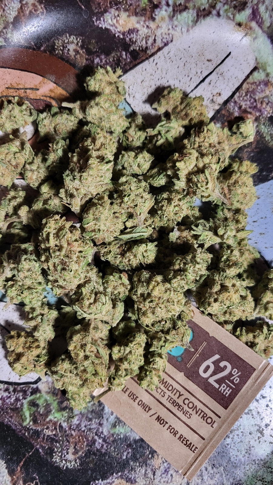 Purple Koala Marijuana Strain Information & Reviews | AllBud