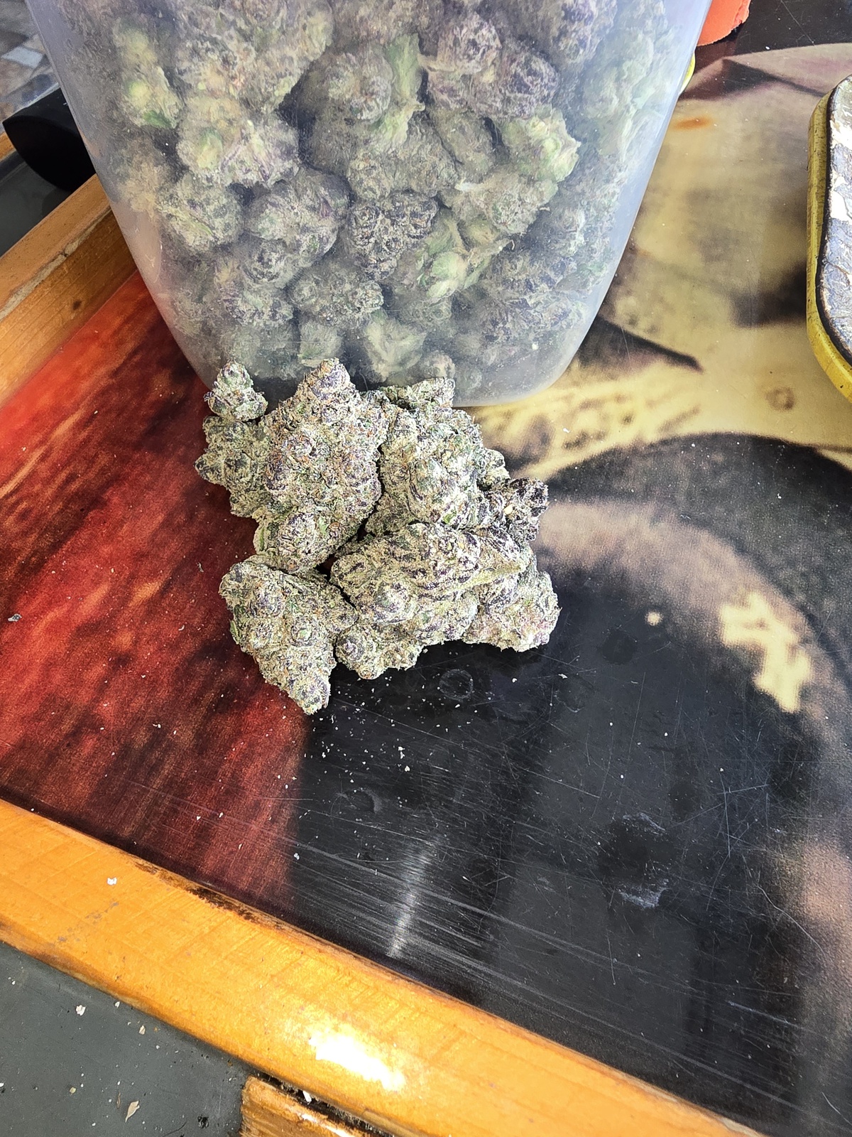Purple Lobster Marijuana Strain Information & Reviews | AllBud