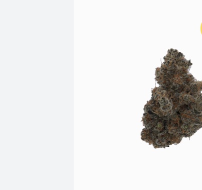 Purple Oasis Marijuana Strain Information & Reviews | AllBud