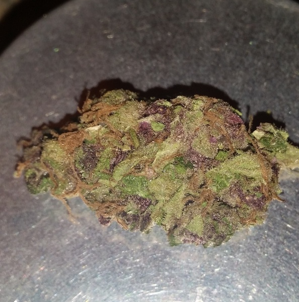 Purple Rain | Marijuana Strain Reviews | AllBud