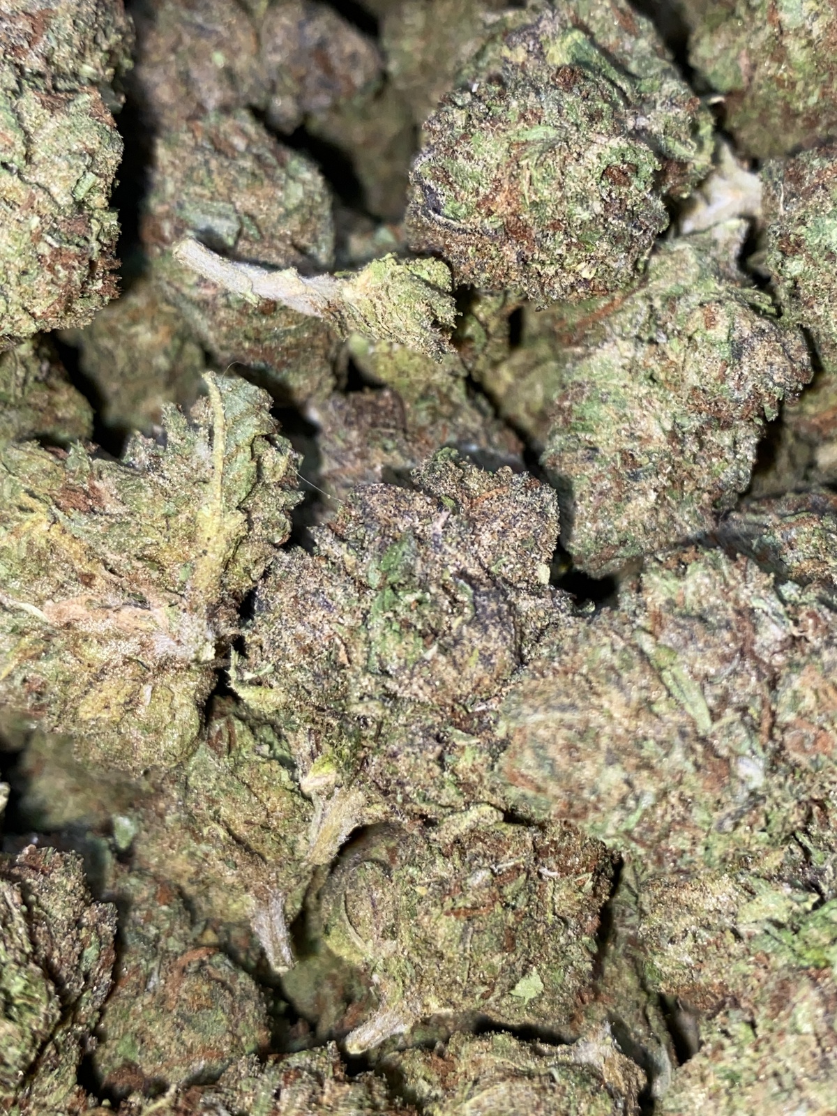 Purple Sweet Tooth Marijuana Strain Information & Reviews | AllBud