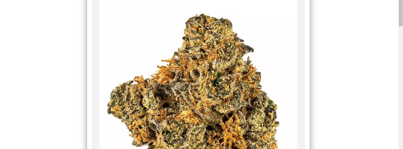 Purple Verde Marijuana Strain Information & Reviews | AllBud