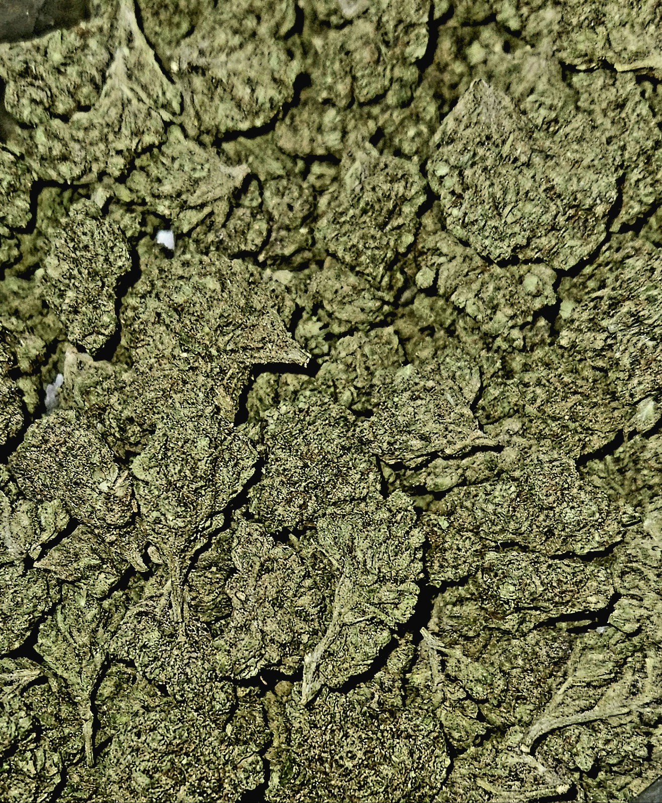 Push Pop Marijuana Strain Information & Reviews | AllBud