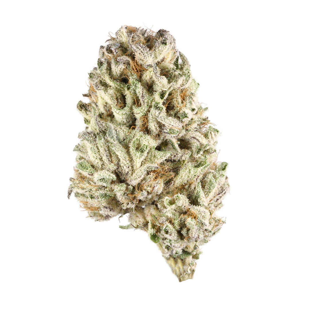 Queen of the South Marijuana Strain Information & Reviews | AllBud