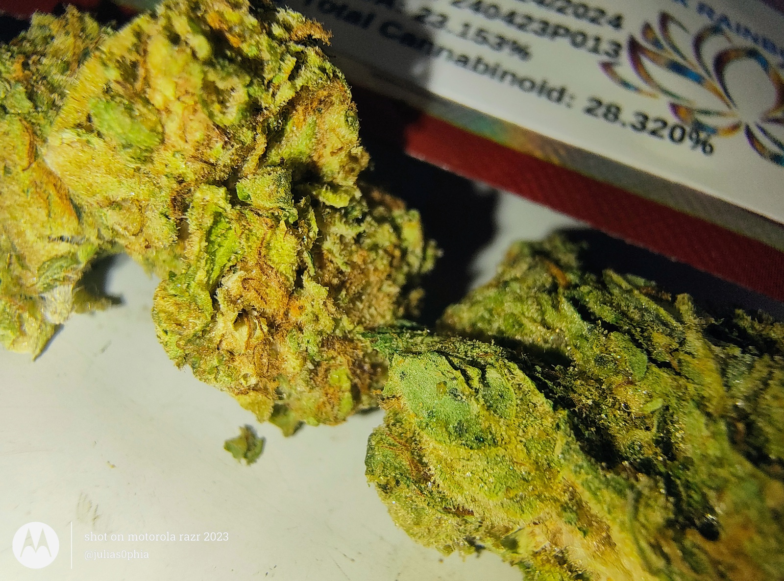Rainbow Biscotti Marijuana Strain Information & Reviews | AllBud