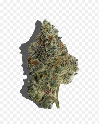 Rainbow Ice Marijuana Strain Information & Reviews | AllBud