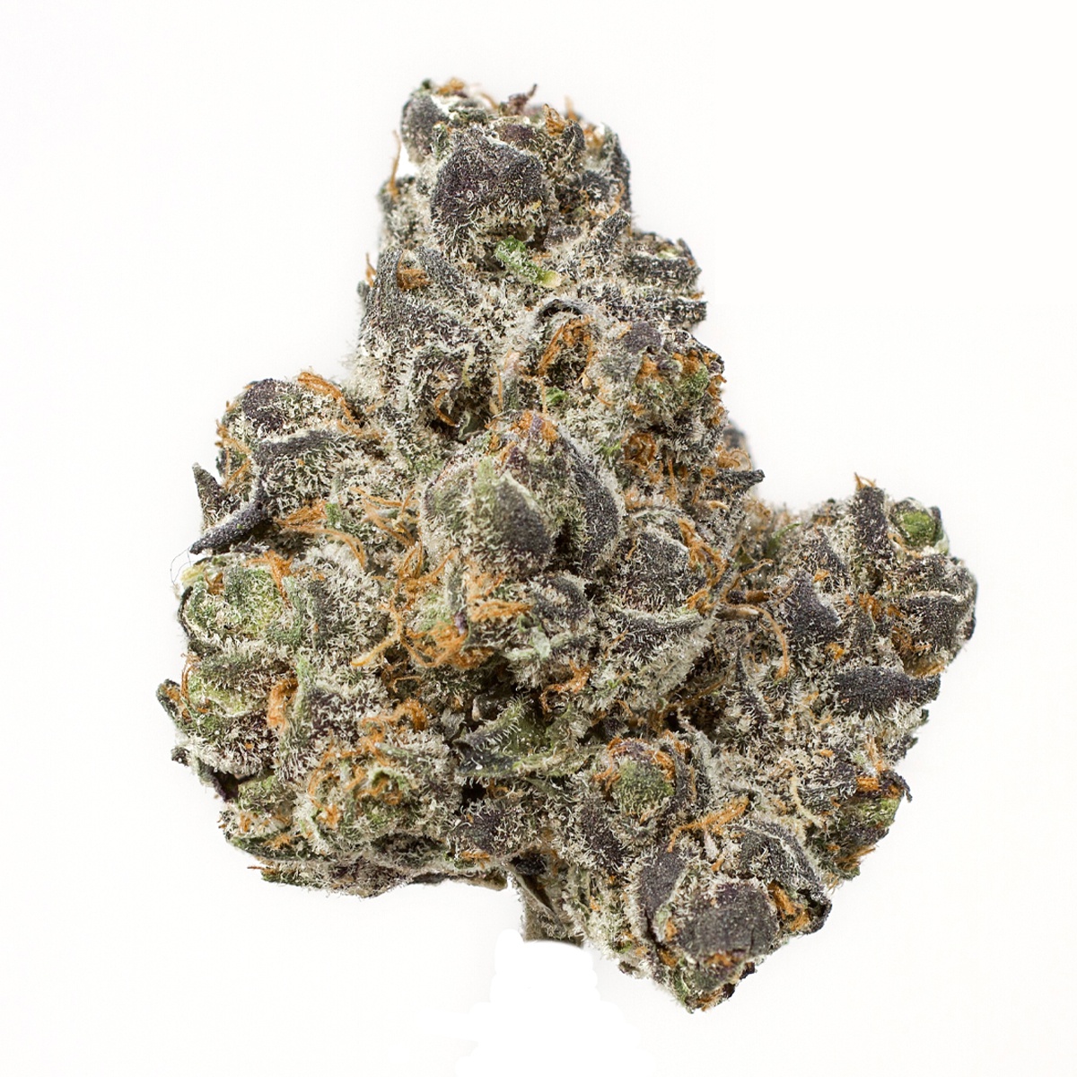 Raspberry Fritter Marijuana Strain Information & Reviews | AllBud