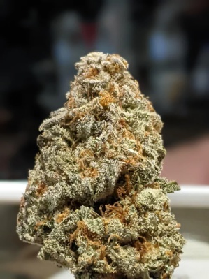 Raspberry Jelly Marijuana Strain Information & Reviews | AllBud