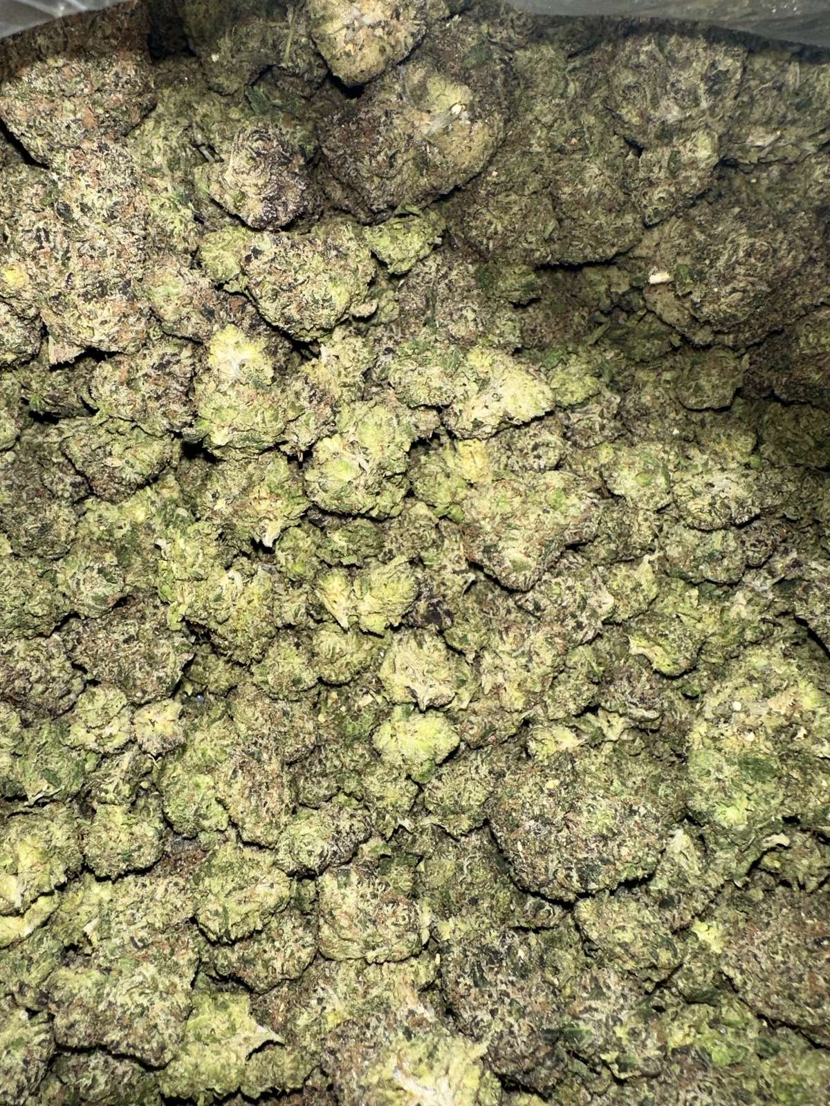 Ripple Marijuana Strain Information & Reviews | AllBud