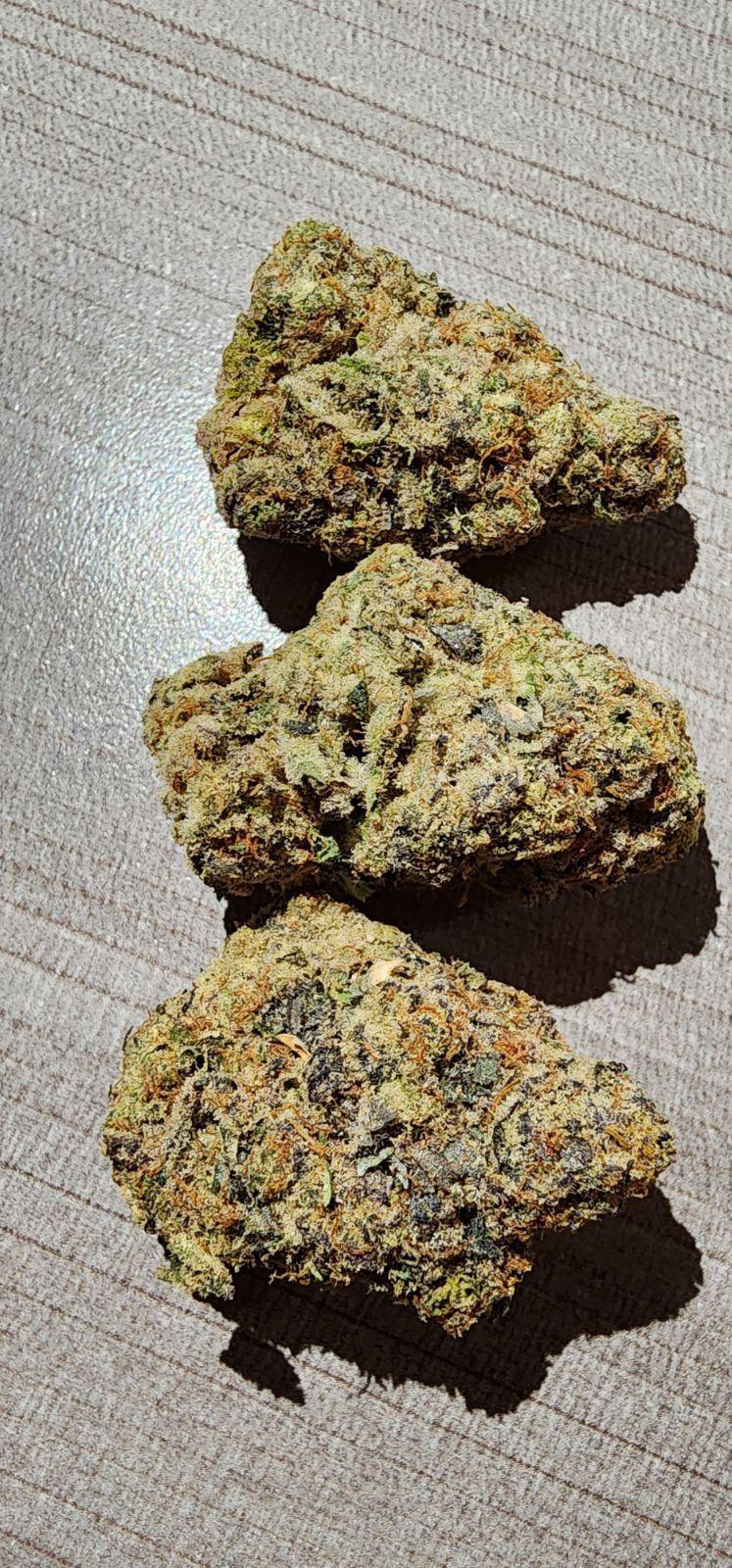 Romulan Blueberry Marijuana Strain Information & Reviews | AllBud