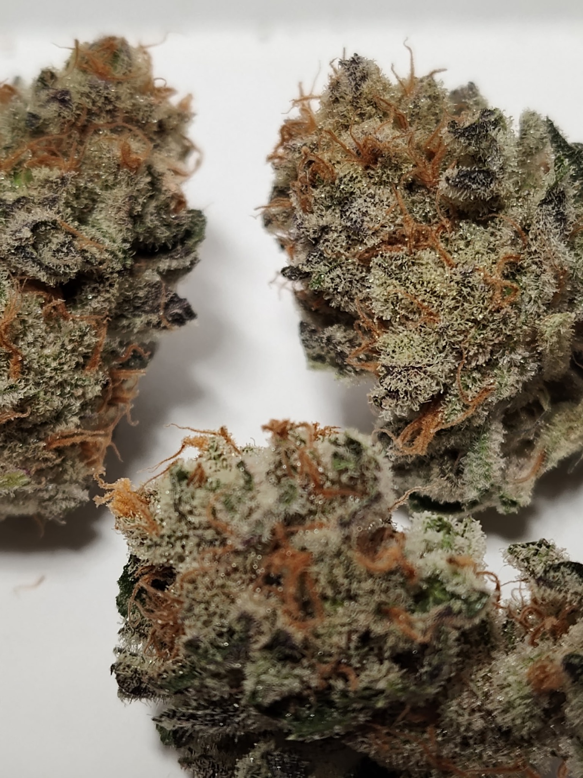 Root Beer Kush Marijuana Strain Information & Reviews | AllBud