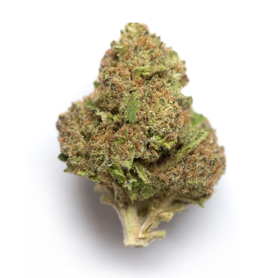 Santa Cruz Blue Dream Marijuana Strain Information & Reviews | AllBud