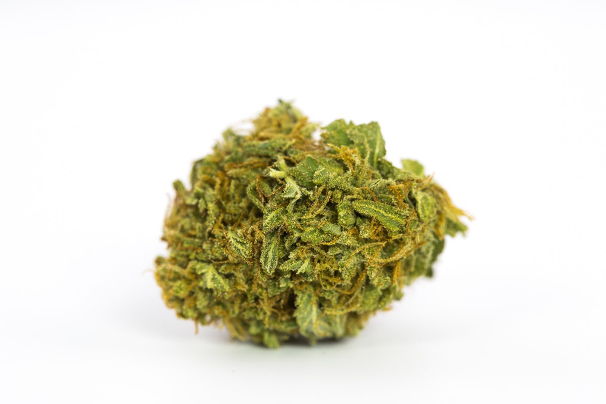Shark Haze Marijuana Strain Information & Reviews | AllBud