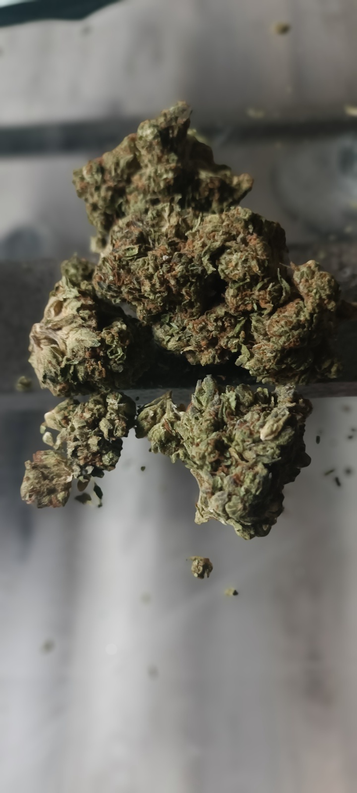 Sour Batch Kiss Marijuana Strain Information & Reviews | AllBud