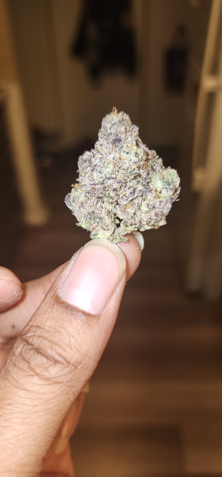 Super Drip Marijuana Strain Information & Reviews | AllBud