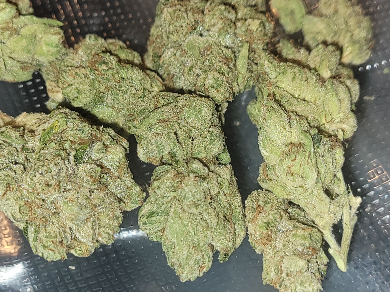 Super Silver Sour Diesel Marijuana Strain Information & Reviews | AllBud