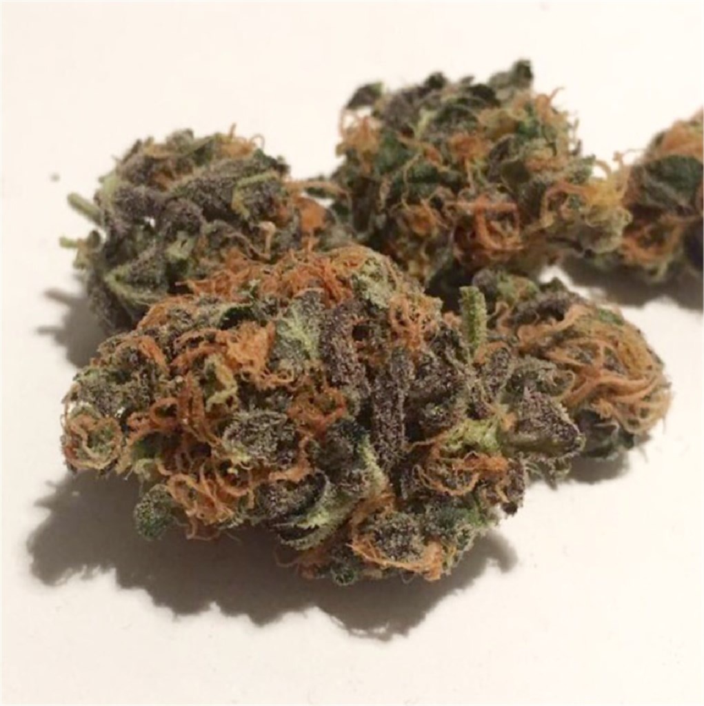 Sweet Amnesia Haze Marijuana Strain Information & Reviews | AllBud