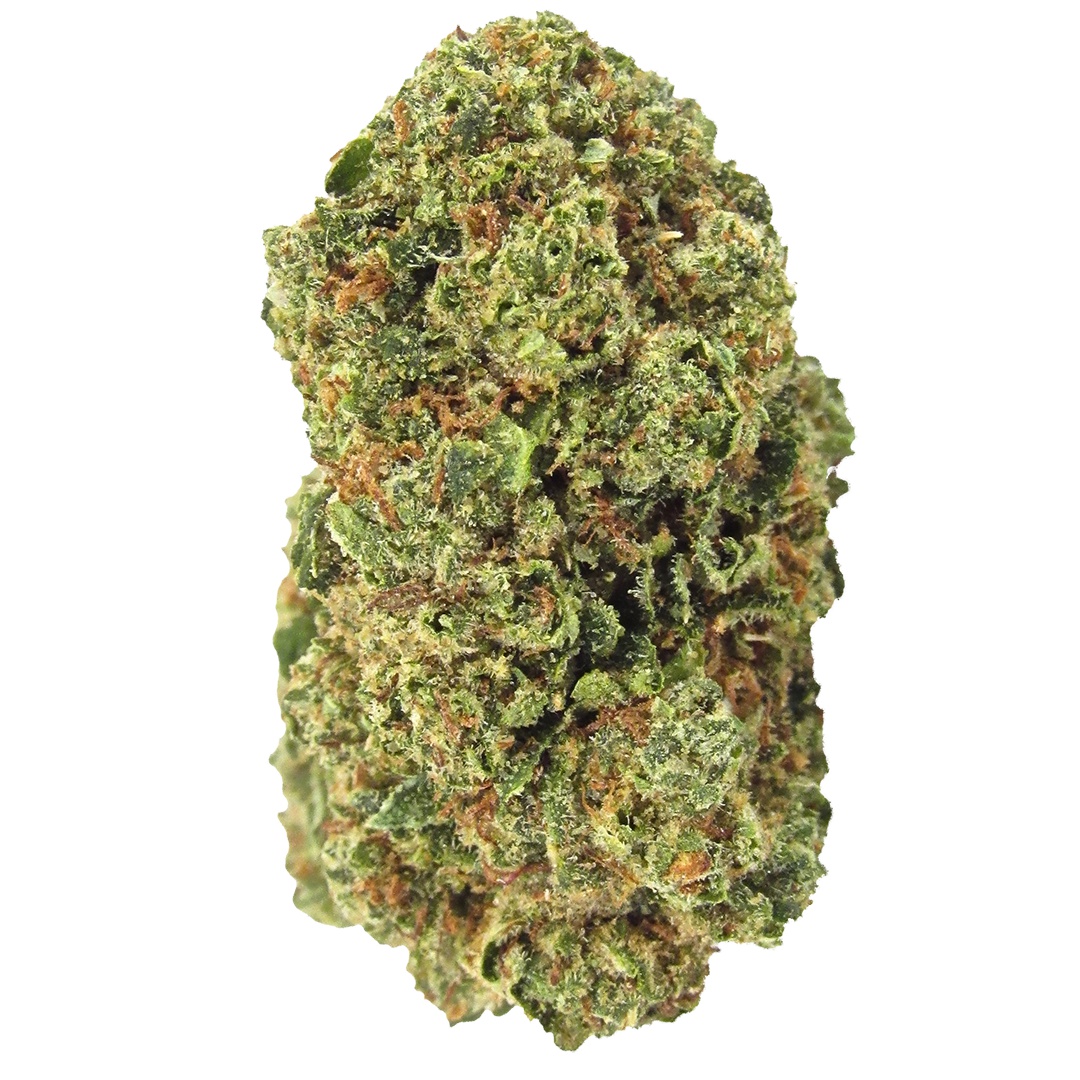 Tri-Fi Marijuana Strain Information & Reviews | AllBud