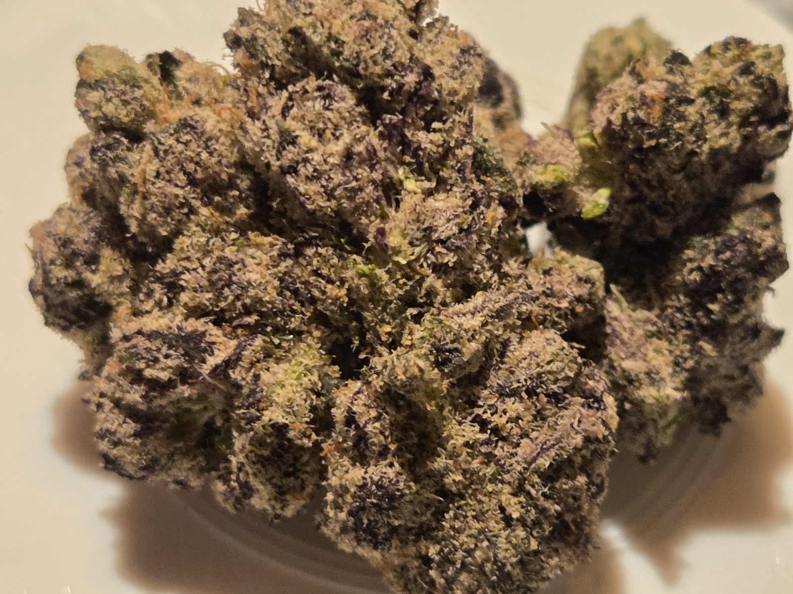 Wizard Fuel Marijuana Strain Information & Reviews | AllBud