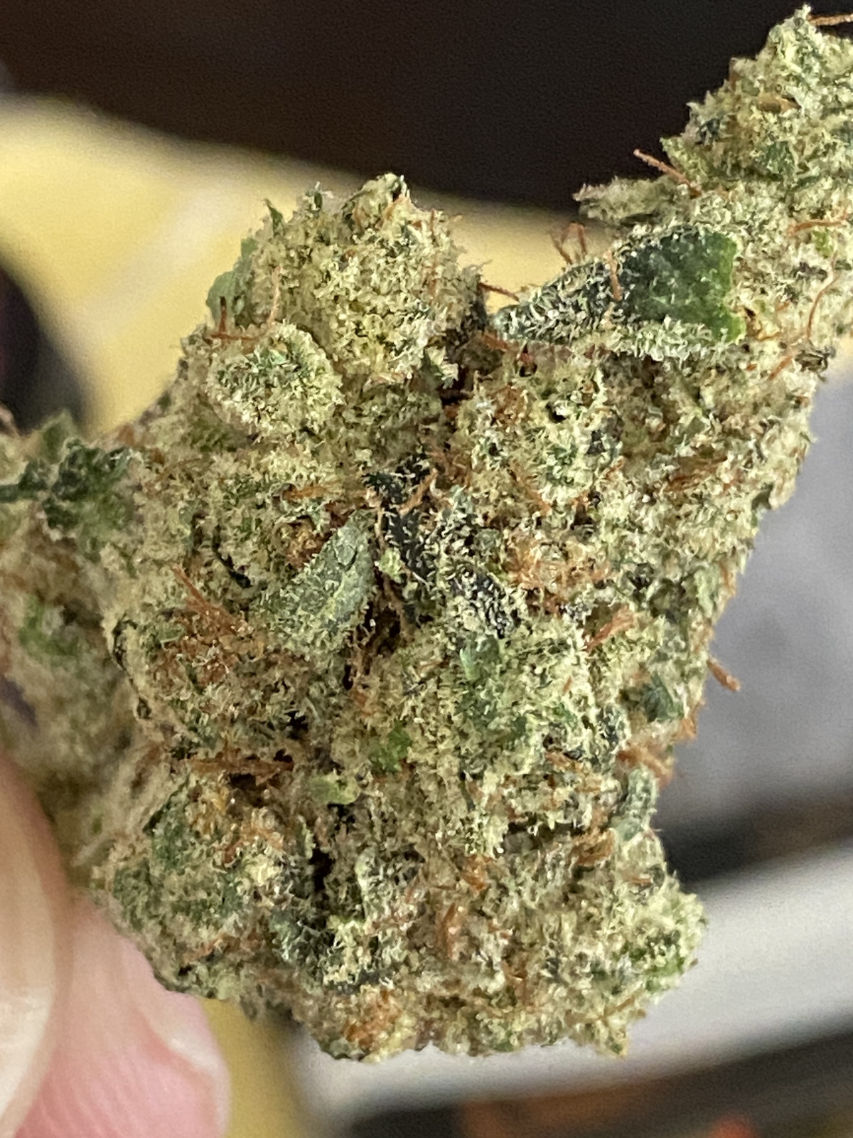 Yesca OG Marijuana Strain Information & Reviews | AllBud