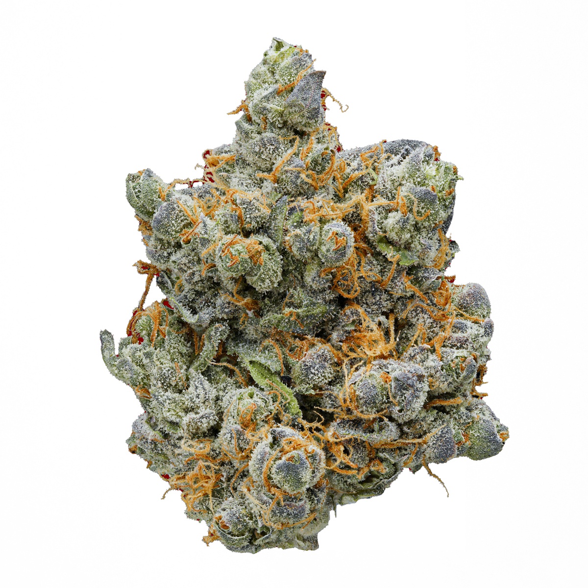 Zkittlez BX Marijuana Strain Information & Reviews | AllBud
