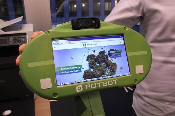 Meet The Chat Bot Who Will Have A Conversation With You About Marijuana ...