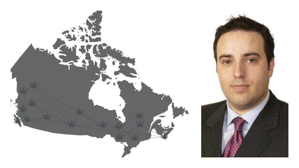 Incoming Cannabis Wheaton president Hugo Alves on the state of the ...