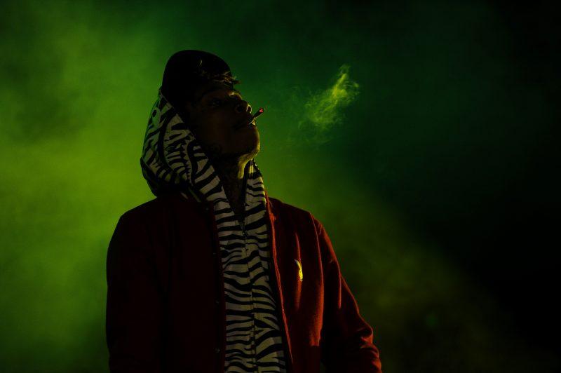 Star-powered weed strains are gold mine for industry | AllBud