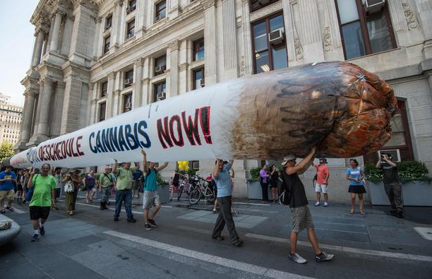 Giant Joints, A Path to Legalization | AllBud
