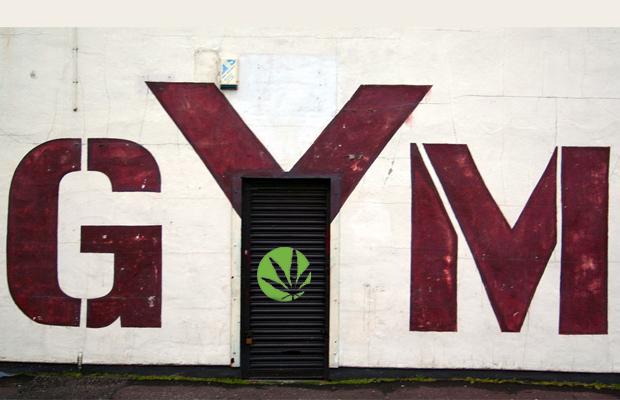 Marijuana Gym Set to Pump Up San Francisco Tokers | AllBud