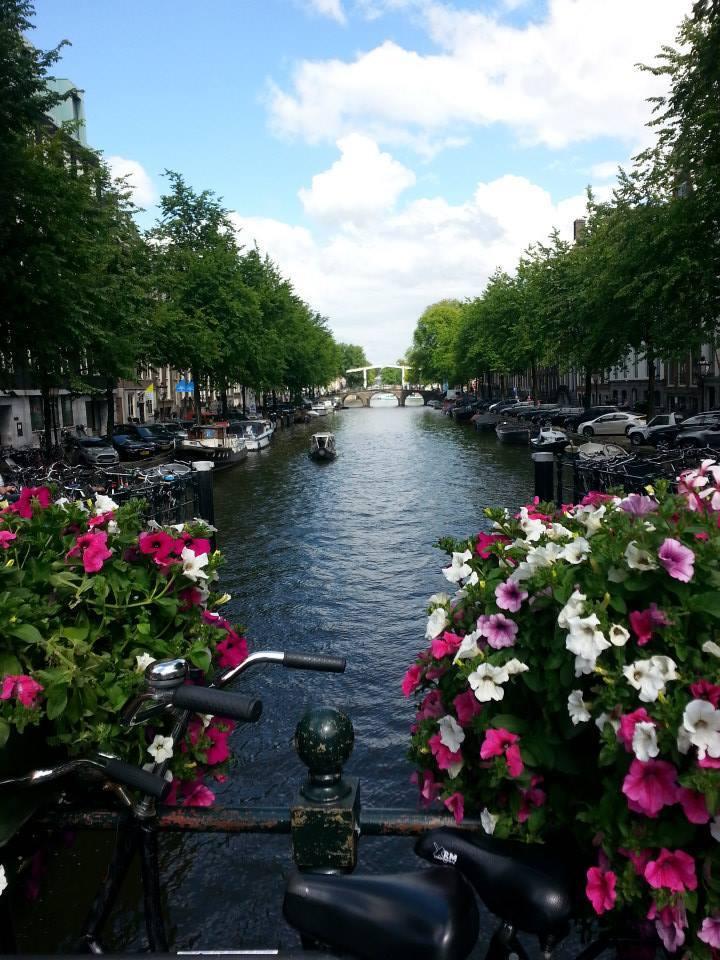 Amsterdam Marijuana Vs. Medical Marijuana Programs in the U.S. | AllBud