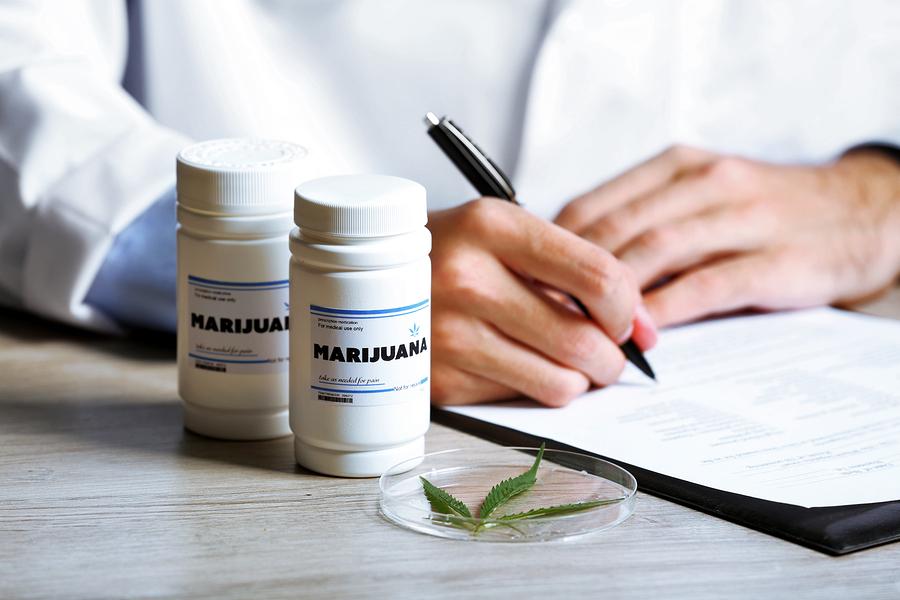 The Big Guide of Cannabis Strains – What Can You Expect from Y... | AllBud