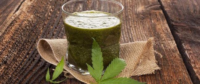 5 Tips for Buying Clean and High-quality Cannabis | AllBud