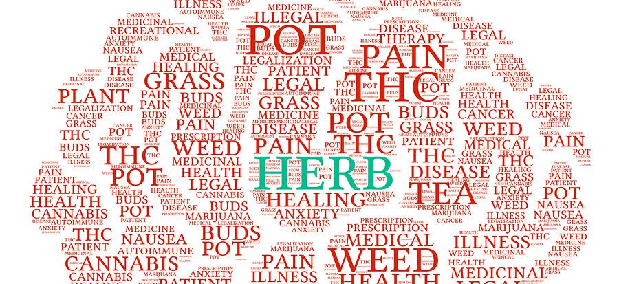 How Cannabis Affects Your Body and Brain | AllBud