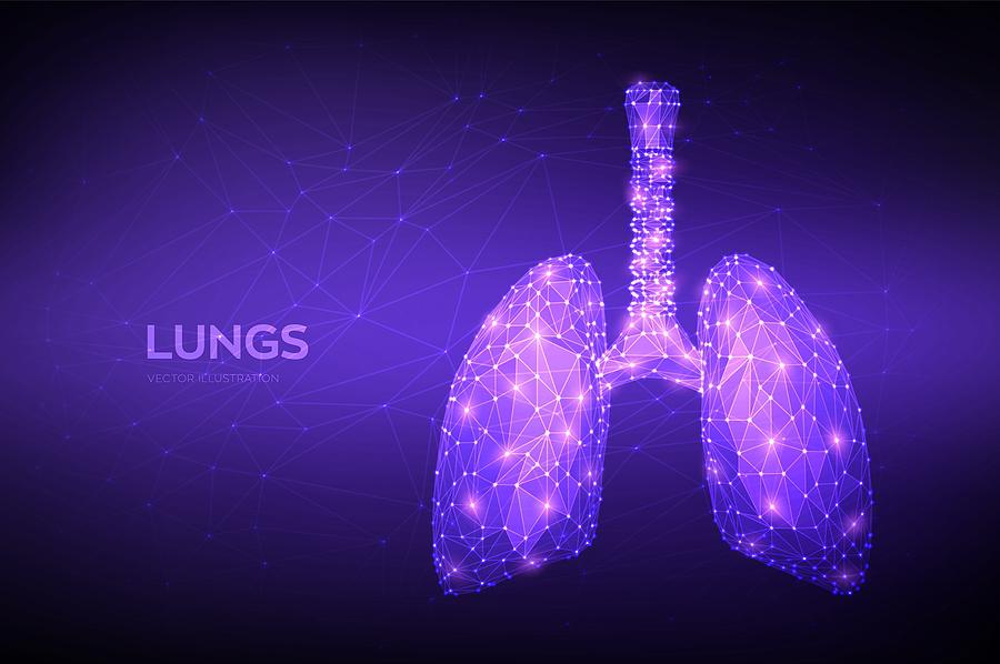 What Exactly Does Cannabis do to Your Lungs? | AllBud